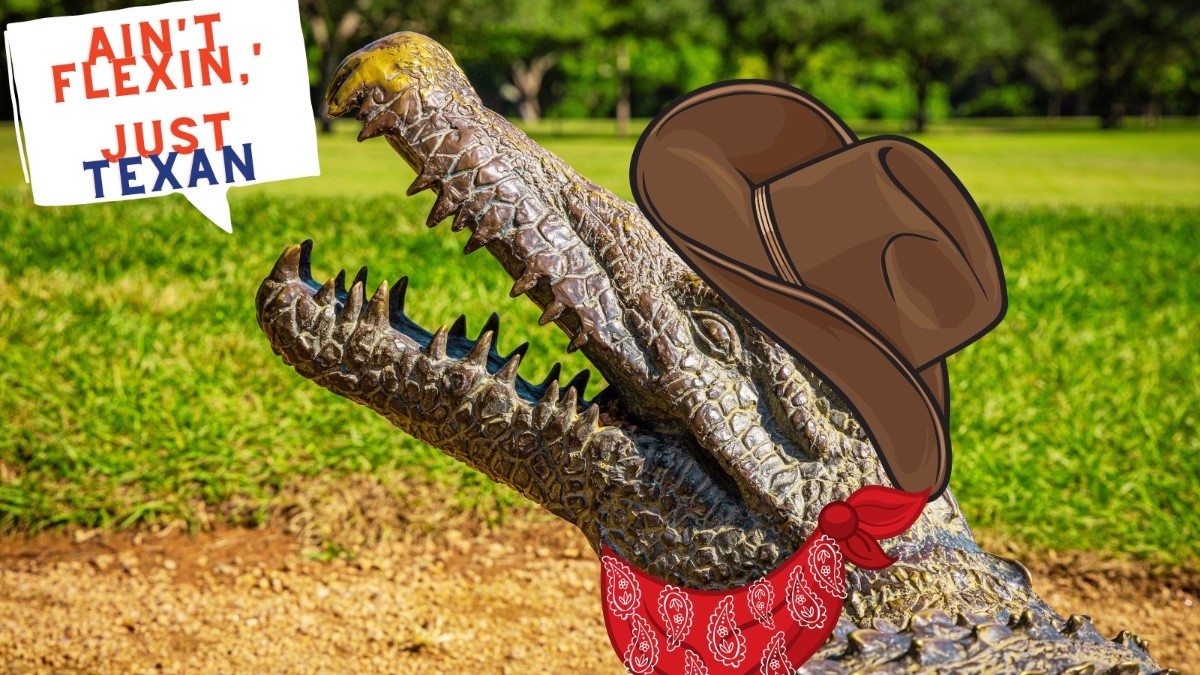 Believe It Or Not Alligators Are Native Texans Too And Many Al