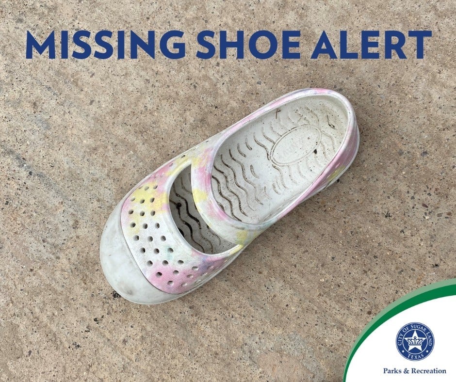 Missing Shoe Alert